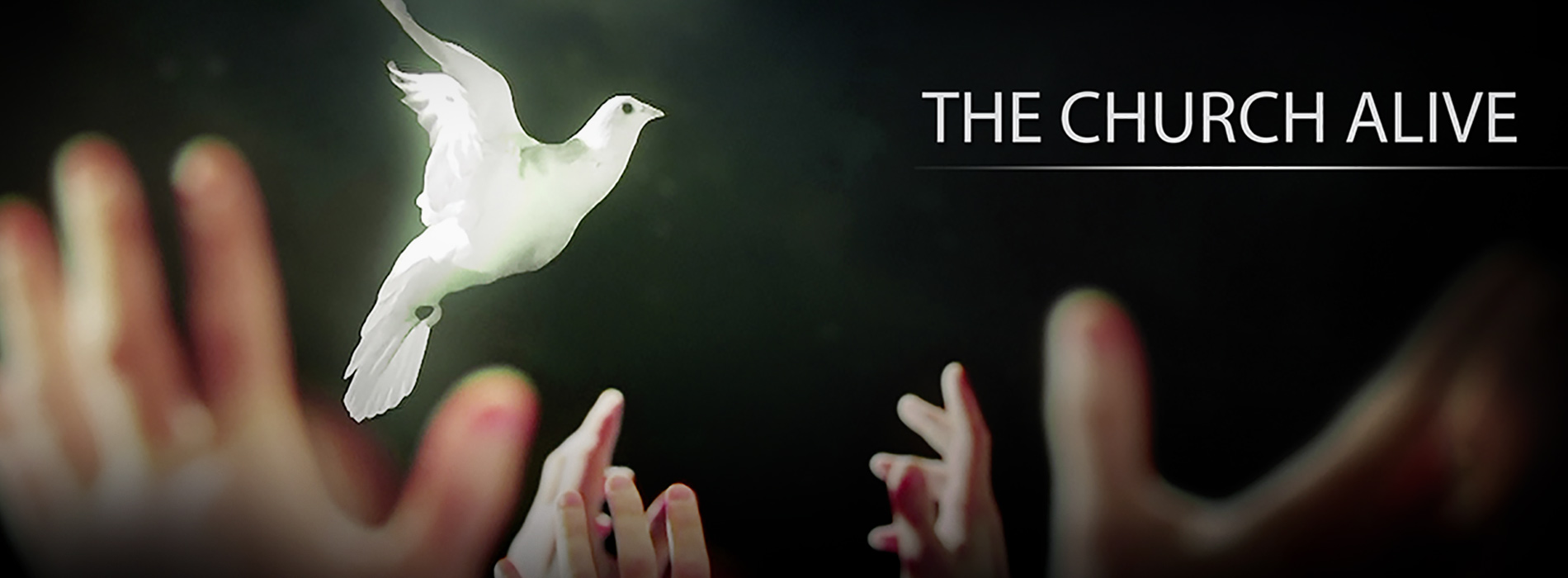 Catholic Radio - EWTN Catholic Radio Network | EWTN