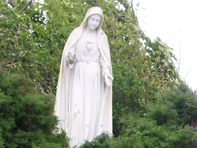 Catholic Television Network | EWTN